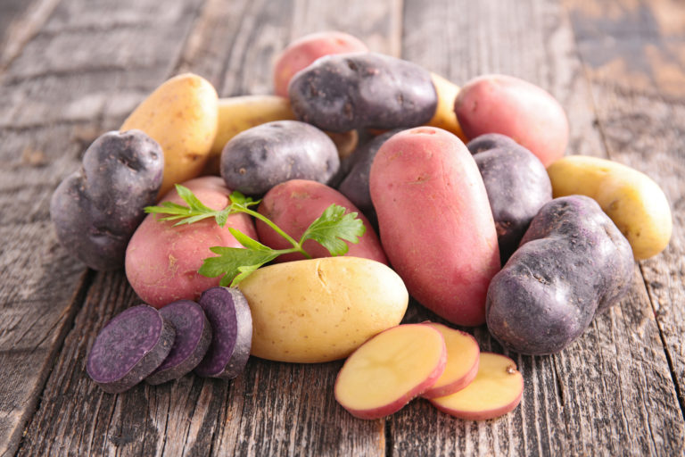 Potato Growing Guide | Jung Seed’s Gardening Blog