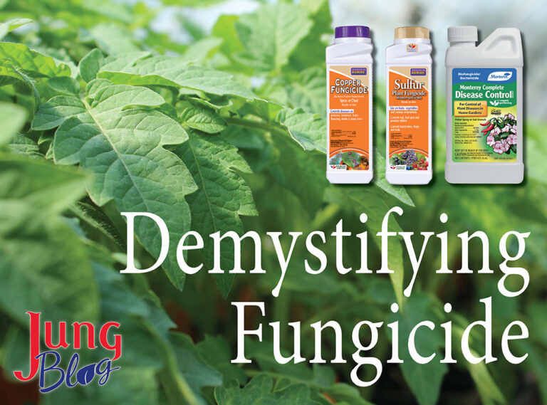 Demystifying Fungicides | Jung Seed’s Gardening Blog