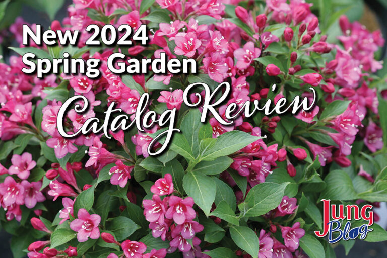 Spring 2024 Garden Catalog Review | Jung Seed Gardening Blog